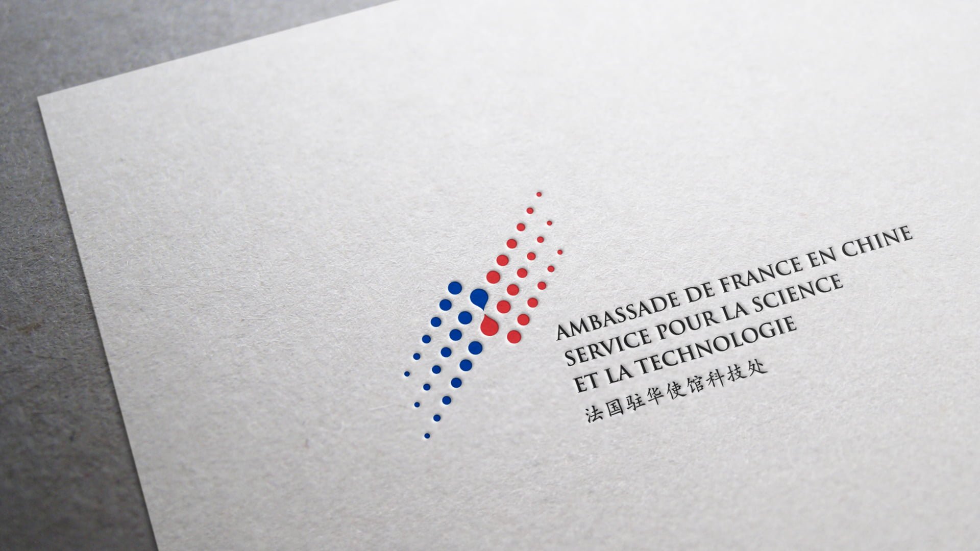 Logo design | VI design | Graphic design- Embassy of France in China ...