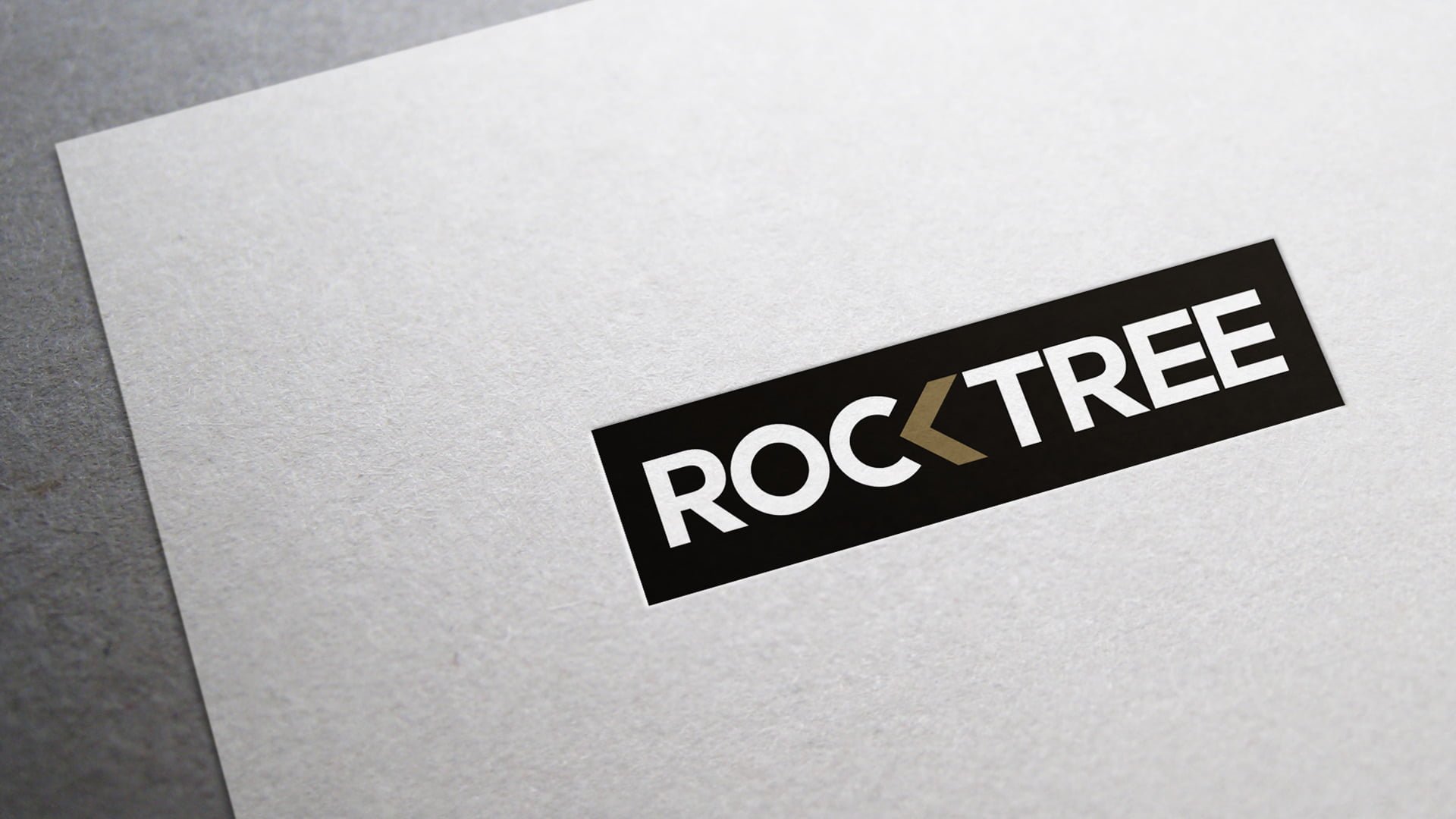 Logo design | Visual identity - Rocktree Capital Website | Flow Asia