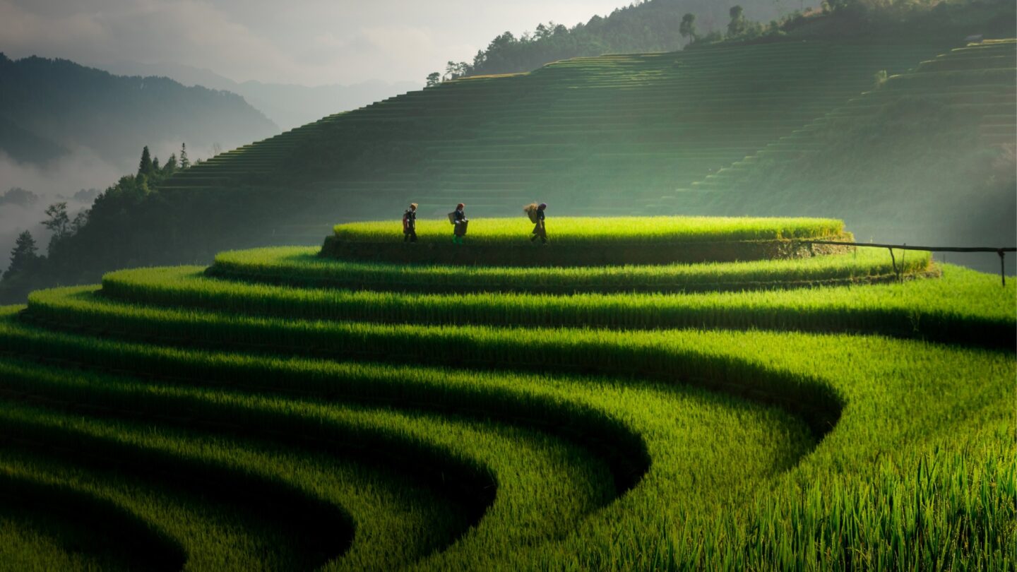 Graphic Design for UPM presentation | Flow Asia