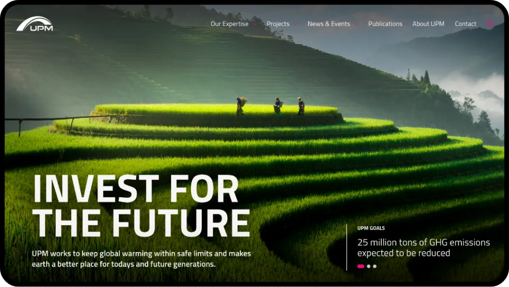 Website Design | The Power of Long-Term Collaborations | Flow Asia