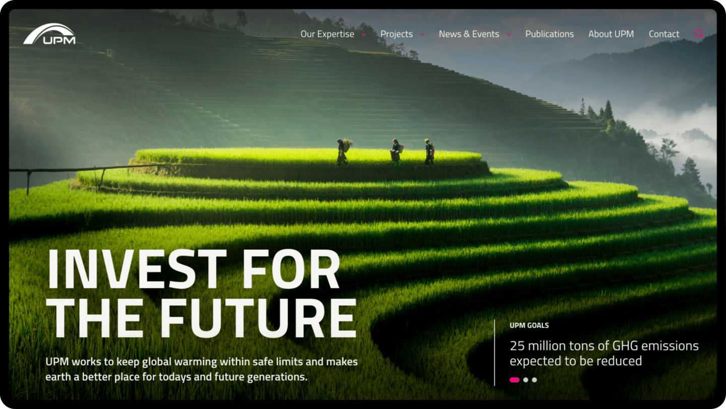 Global Custom Website Design & Development | Flow Asia